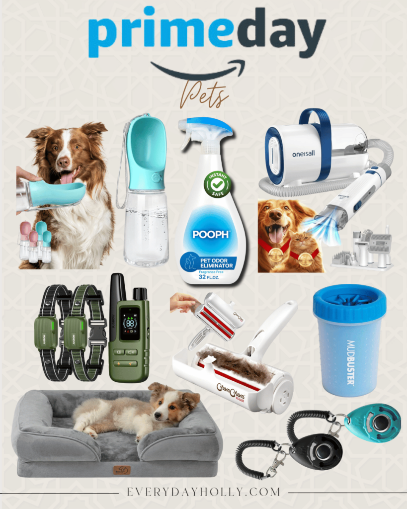 Don't Miss Out on Amazon Prime Day | The Best Deals of the Year